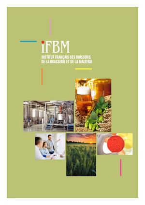 Calaméo - Plaquette IFBM