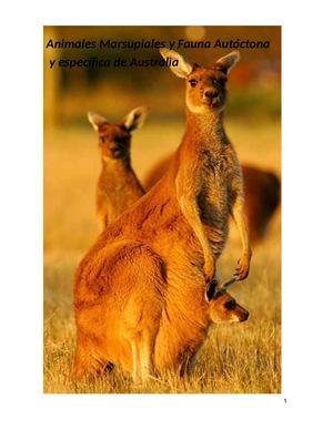 Calaméo - Revista Animales Cientifica Definitiva