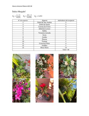 Calaméo - ÍNdice Margalef