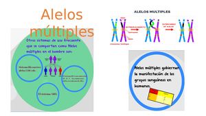 Calaméo - Alelos Multiples Y Ejemplos