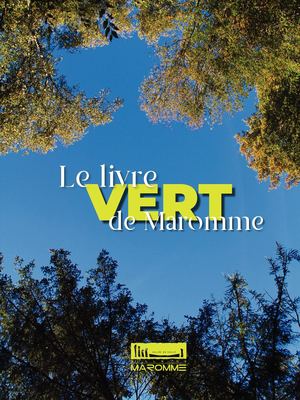 Calaméo - Livre Vert