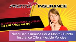 Calaméo - Need Car Insurance For A Month? Pronto Insurance Offers ...