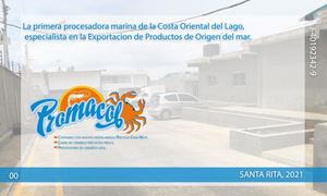 Calaméo - Dossier Promacol 2021