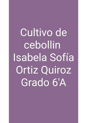 Calaméo - 6a Isabel Sofia