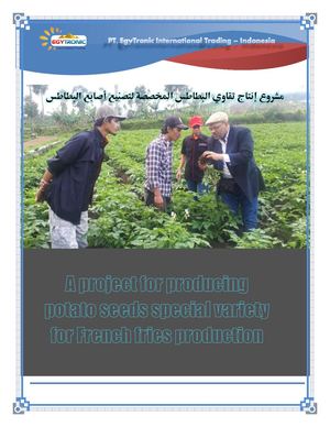 Calaméo - Initial feasibility study for the production of potato seeds ...