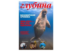 Calaméo - Article (Ultimate Depth magazine 03/2021)