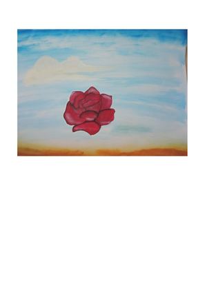 Calaméo - Rosa De Dalí