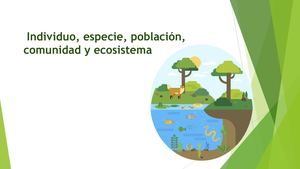 Calaméo - Individuo, Especie, Población, Comunidad Y Ecosistema