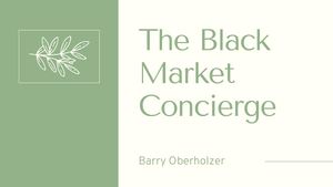 Calaméo - A Brilliant Book By Barry Oberholzer