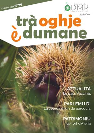 Calaméo - Journal 29