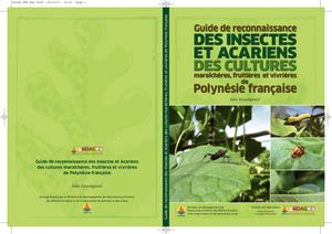 Calaméo - Guide de reconnaissance des insectes et acariens des cultures
