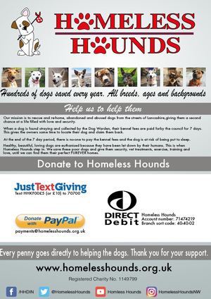 Calaméo - Homeless Hounds E Brochure