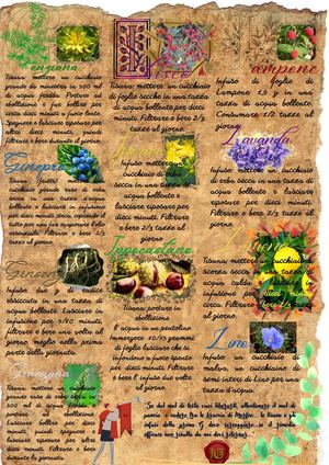 Calaméo - Poster Erbe Officinali Scuola InVerde