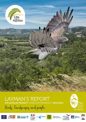 Calaméo - Layman's Report English