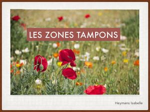 Calaméo - Zones Tampons