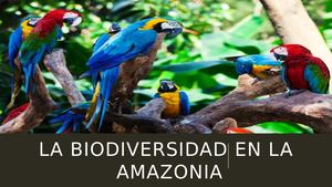 Calaméo - La Biodiversidad En La Amazonia