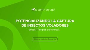 Calaméo - Ebook Trampas Luminosas