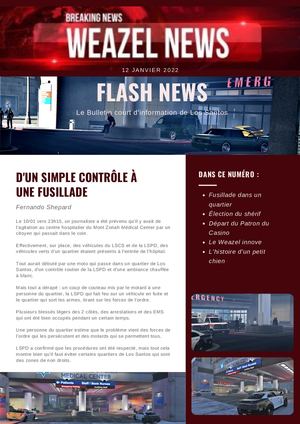 Calaméo - Bulletin Flash n°2
