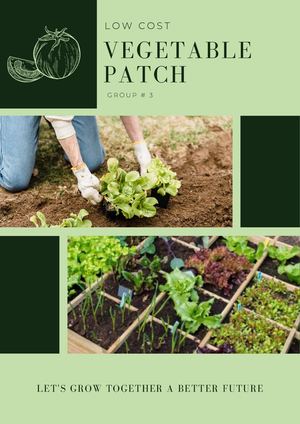 Calaméo - Vegetable Patch