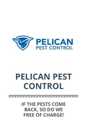 Calaméo - Pelican Pest Control