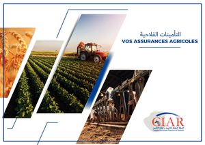 Calaméo - Brochure Ciar Op1. 2