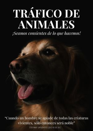 Calaméo - Tráfico De Animales Actual