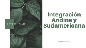 Calaméo - Integracion andina y sudamericana