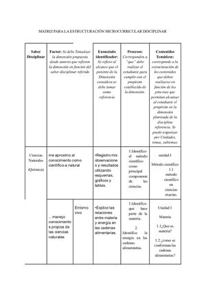 Calaméo - Matriz Disciplinar (1)