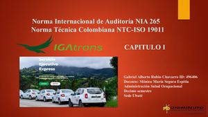 Calaméo - Norma Internacional De Auditoría Nia 265