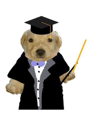 Calaméo - Perrito graduado