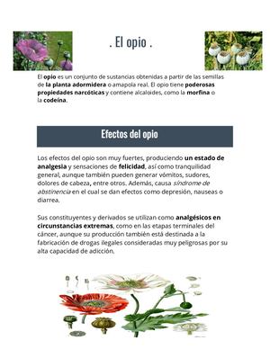 Calaméo - El Opio