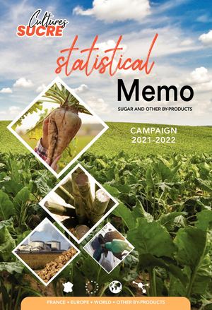 Calaméo - Statistical Memo 2022