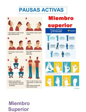 Calaméo - Pausas Activas