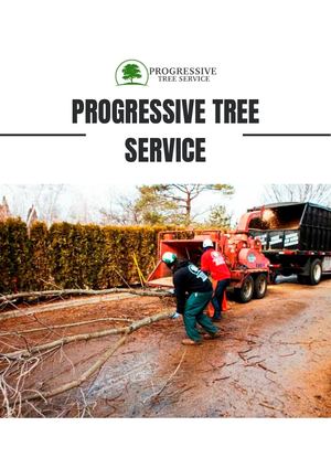 Calaméo - Progressive Tree Service