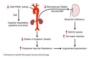 Calaméo - Domenico Calcaterra
