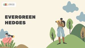 Calaméo - Evergreen hedges that provide your gardening a beautiful ...