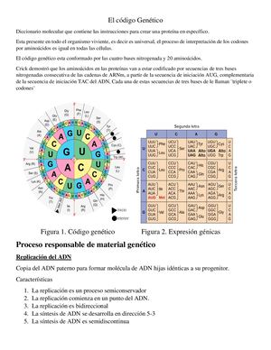 Calaméo - El Código Genético