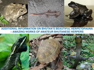 Calaméo - Bhutan Ecological Society Seminar, 2018