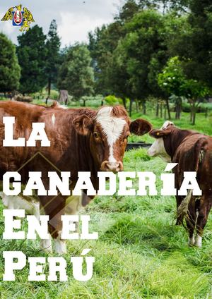 Calaméo - Ganadería En El Perú