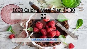 Calaméo - 1600 Calorie Meal Plan 40 30 30