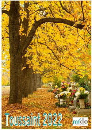 Calaméo - 2022 Catalogue Toussaint Mido Vf