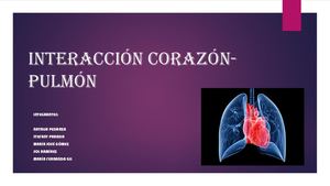 Calaméo - Interacción Corazón Pulmón