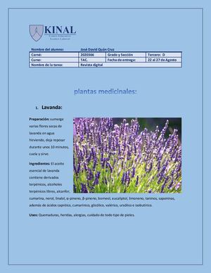 Calaméo - Plantas Medicinales Idioma Maya Jquan2020366