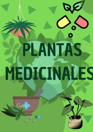 Calaméo - plantas medicinales