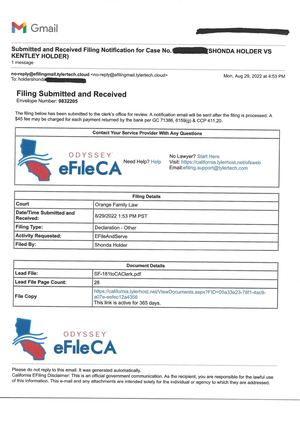 Calaméo - Declaration with SF-181 attachments efiled