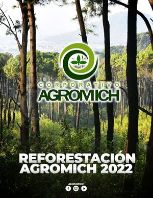 Calaméo - Reforestación AGROMICH 2022