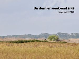 Calaméo - Un dernier week-end à Ré