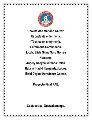 Calaméo - Proyecto Final Pae