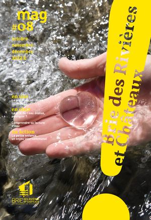 Calaméo - Brie des Rivières et Châteaux #8