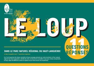 Calaméo - Le loup en 11 questions réponses